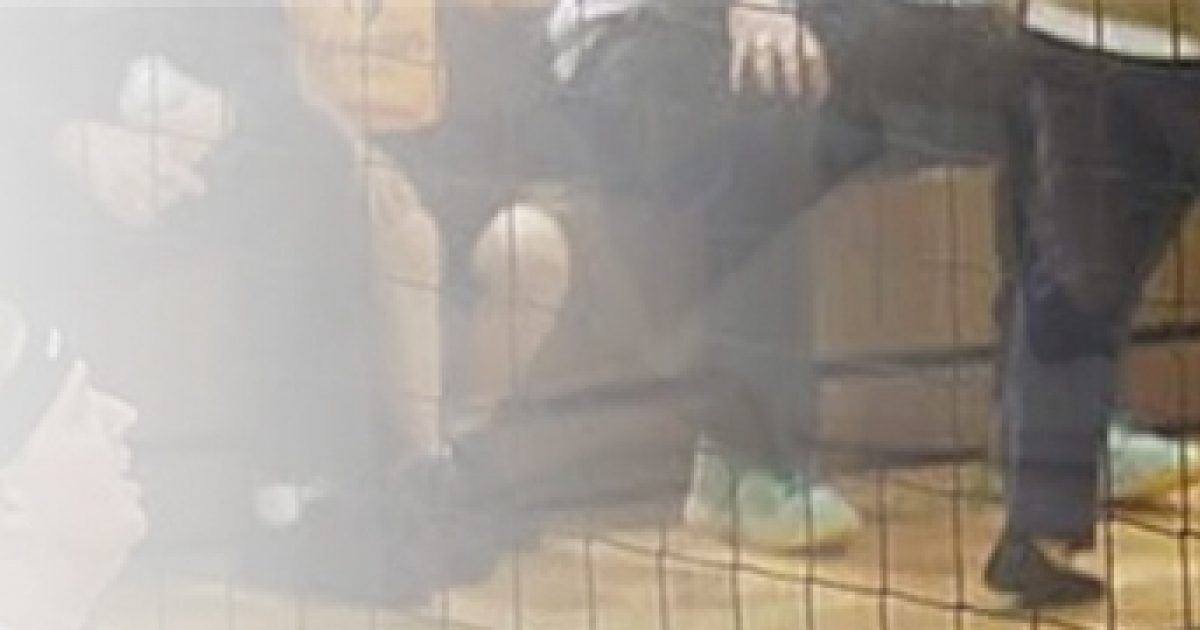 Beat Bob | National Center for Life and Liberty